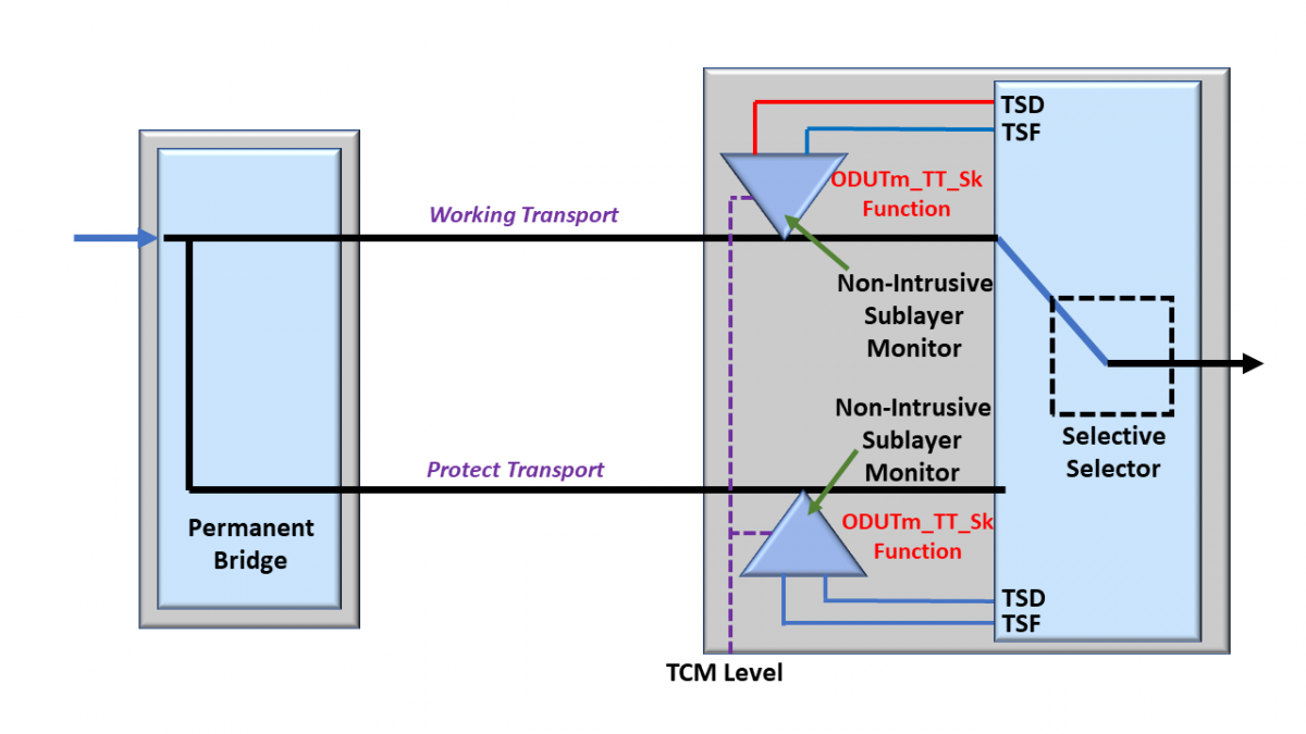 Odutm Tt Sk Atomic Function Asserting The Ai Tsd Output Signal Towards